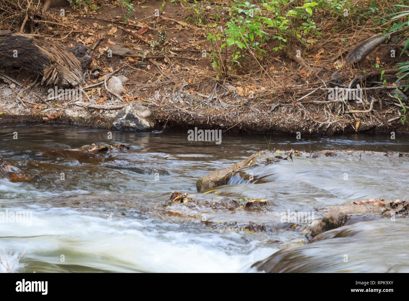 A small river in the Meru National Park. Kenya, Africa Stock Photo - Alamy