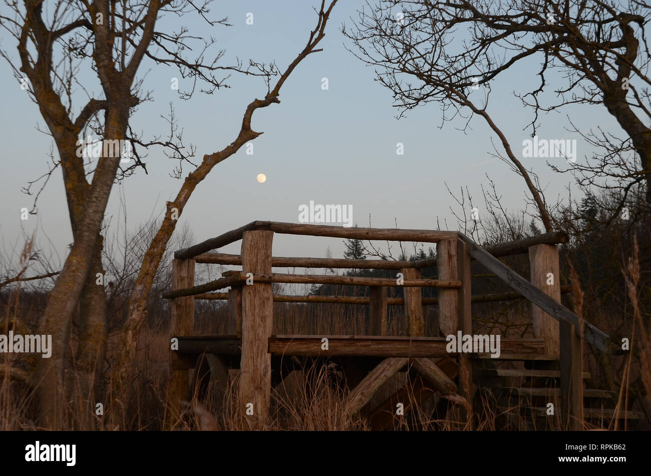 Full moon landscape trees hi-res stock photography and images - Alamy