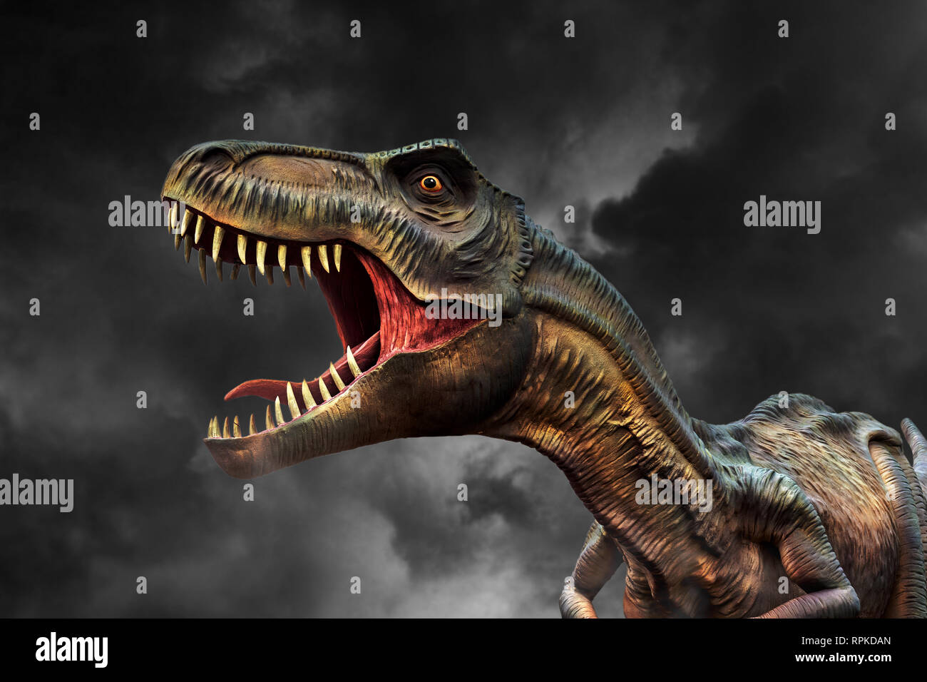 Tyrannosaurus rex in the storm Stock Photo - Alamy