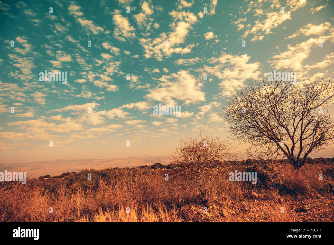 View from mount Menara, North Israel Stock Photo - Alamy