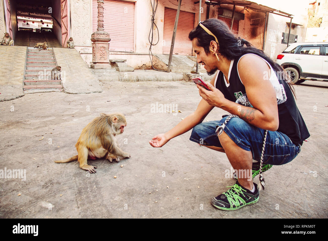 Tourist giving nuts to a monkey in Monkey temple in Jaipur, Rajasthan ...