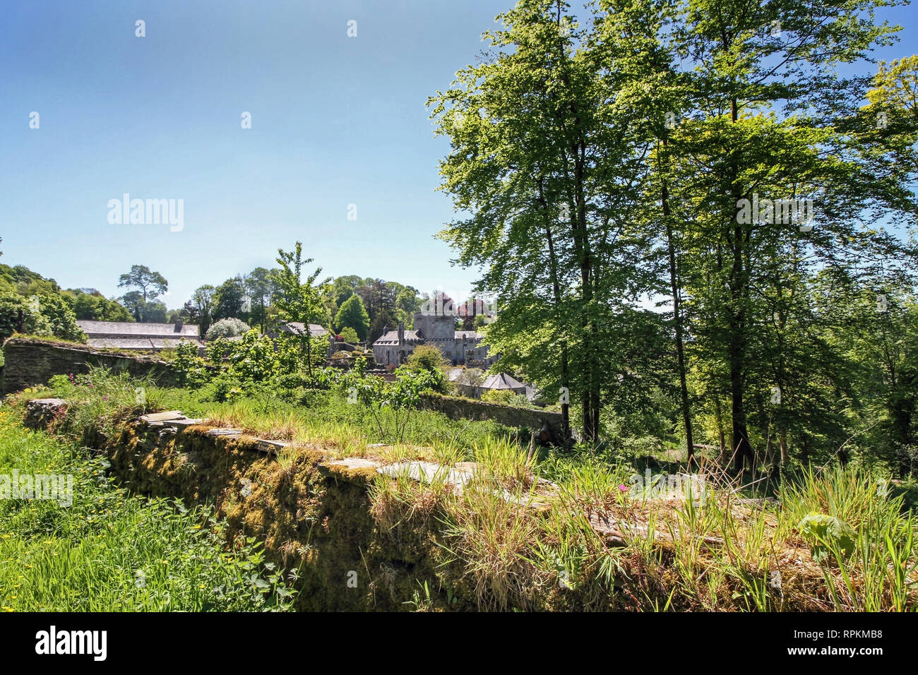 Buckland Abbey Devon once home to Sir Francis Drake house and tithe ...