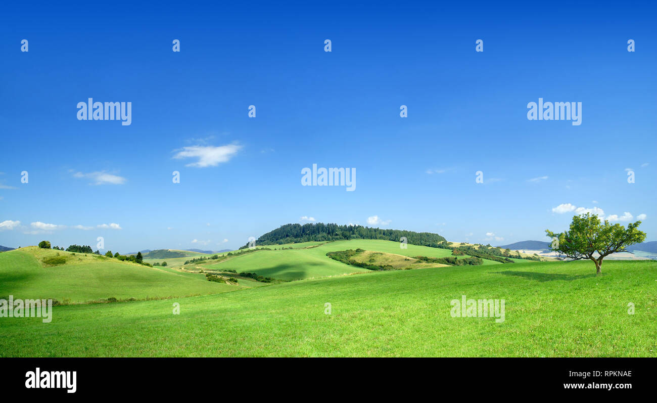 Idyllic landscape, view of green fields, blue sky and white clouds in ...
