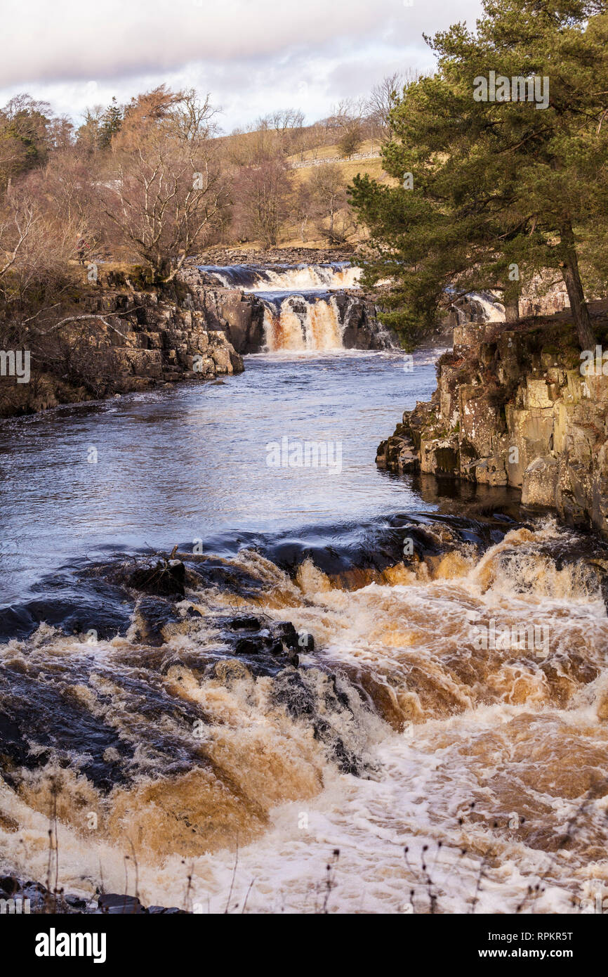 The waterfalls at Low Force,Teesdale,England,UK Stock Photo - Alamy