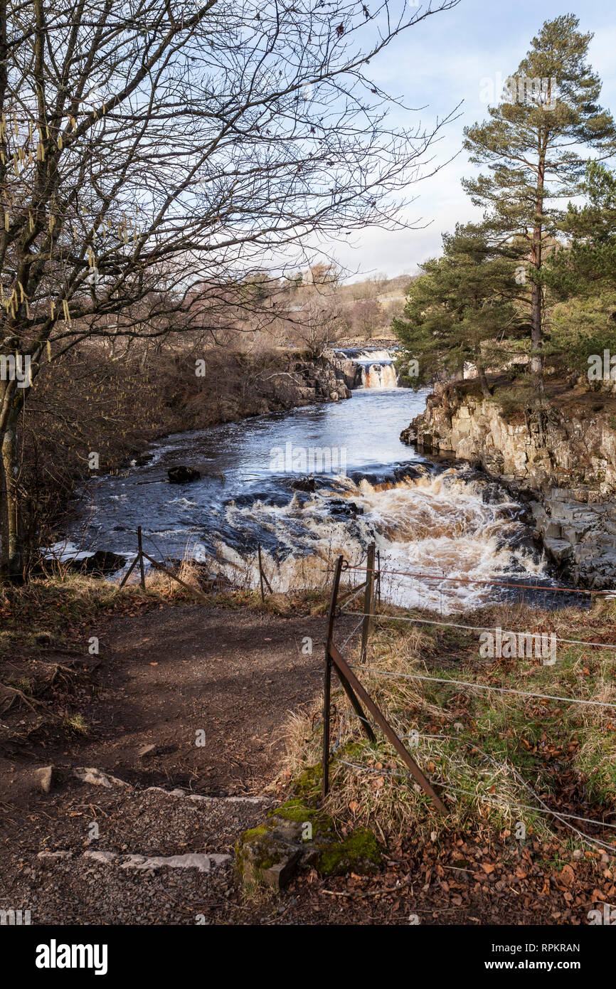 The waterfalls at Low Force,Teesdale,England,UK Stock Photo - Alamy