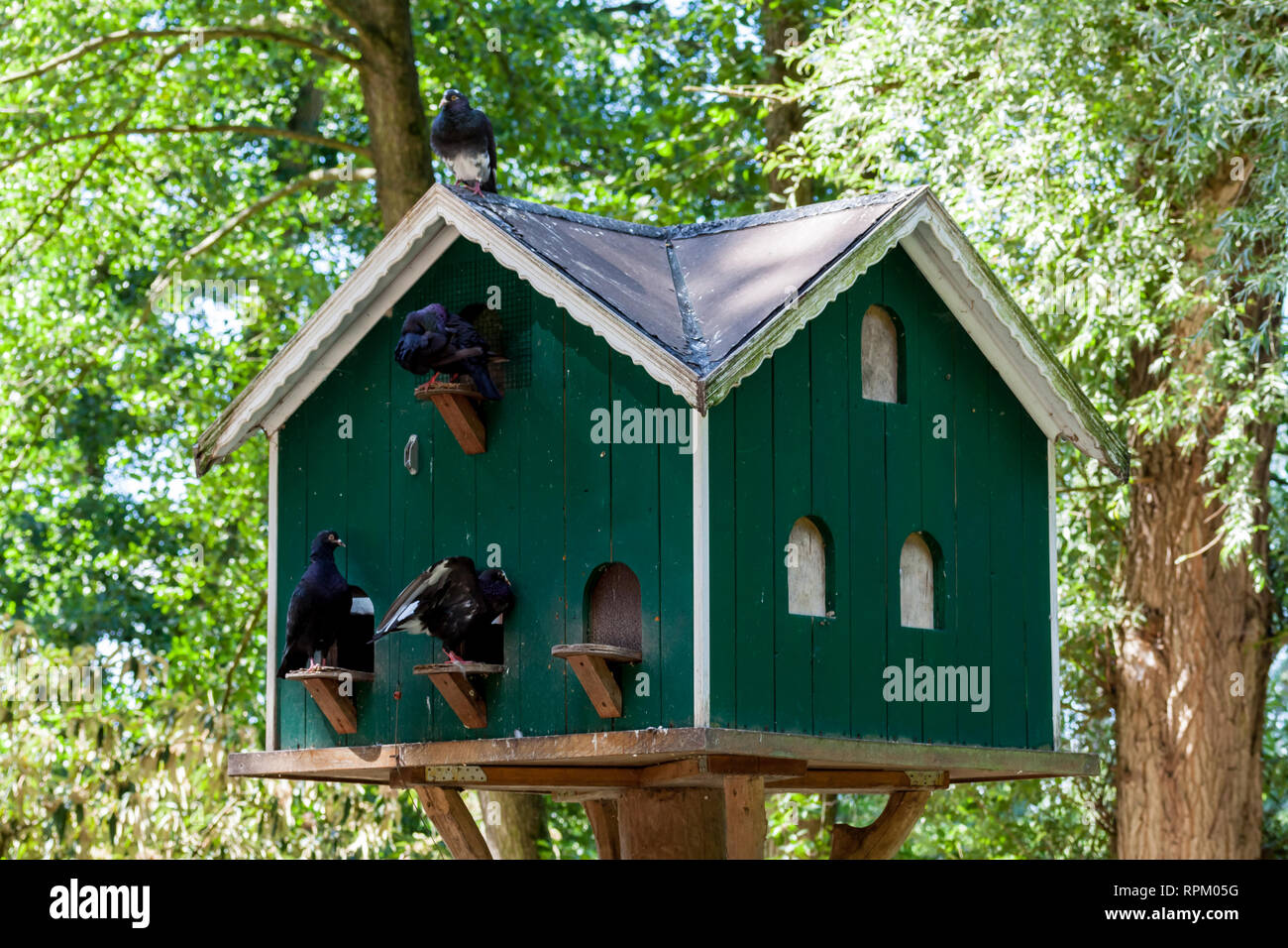 Birdhouse love hi-res stock photography and images - Alamy