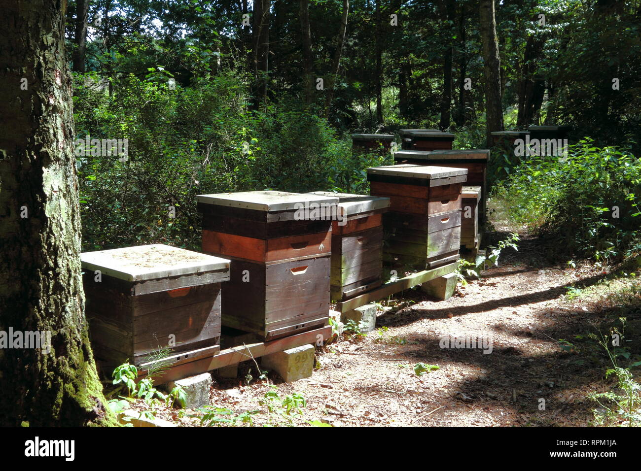 Beehive boxes hi-res stock photography and images - Alamy