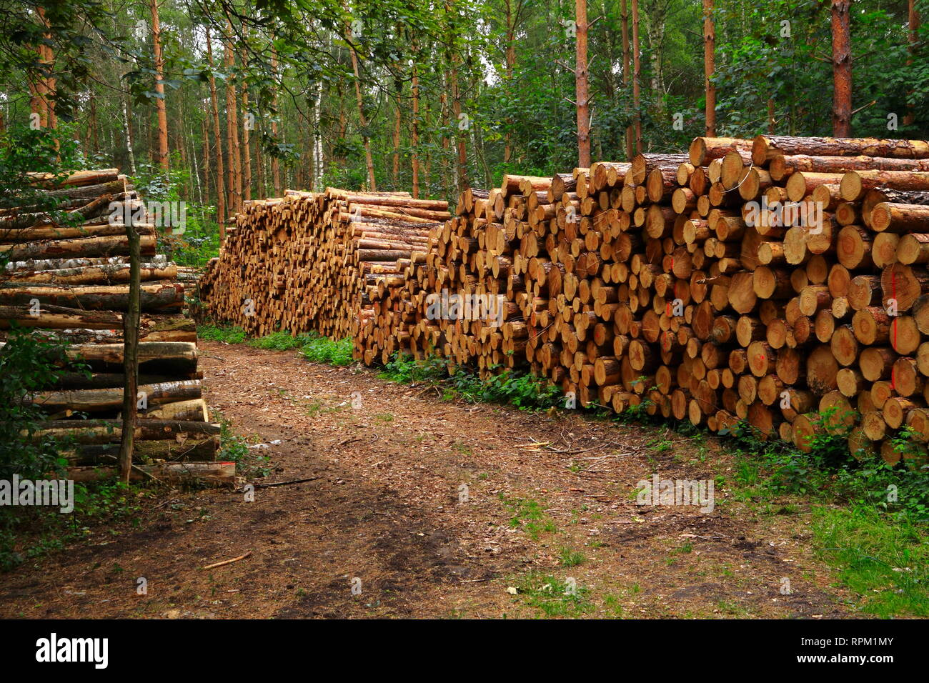 Round logs stacked stack wood hi-res stock photography and images - Alamy
