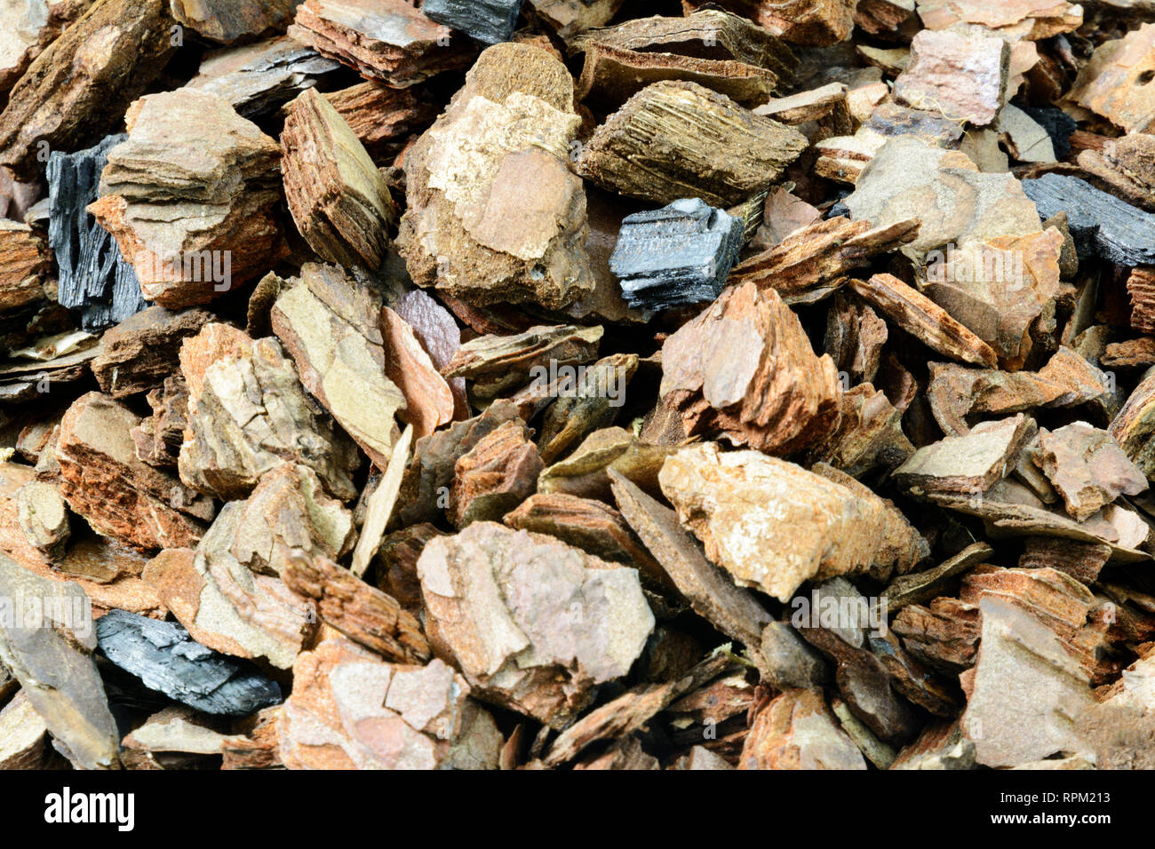 Shredded tree bark used for gardening, texture background Stock Photo ...
