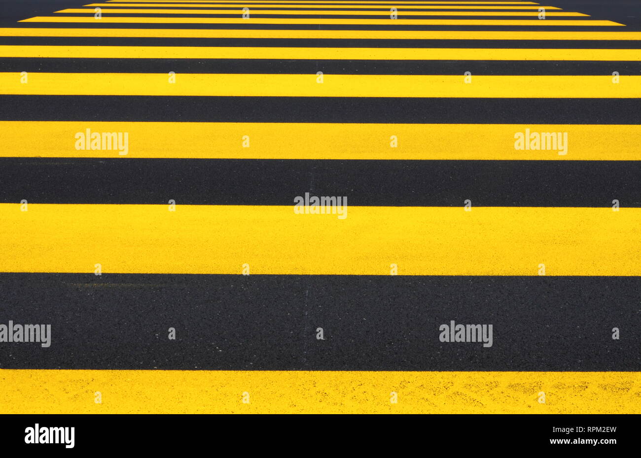 Zebra car hi-res stock photography and images - Alamy