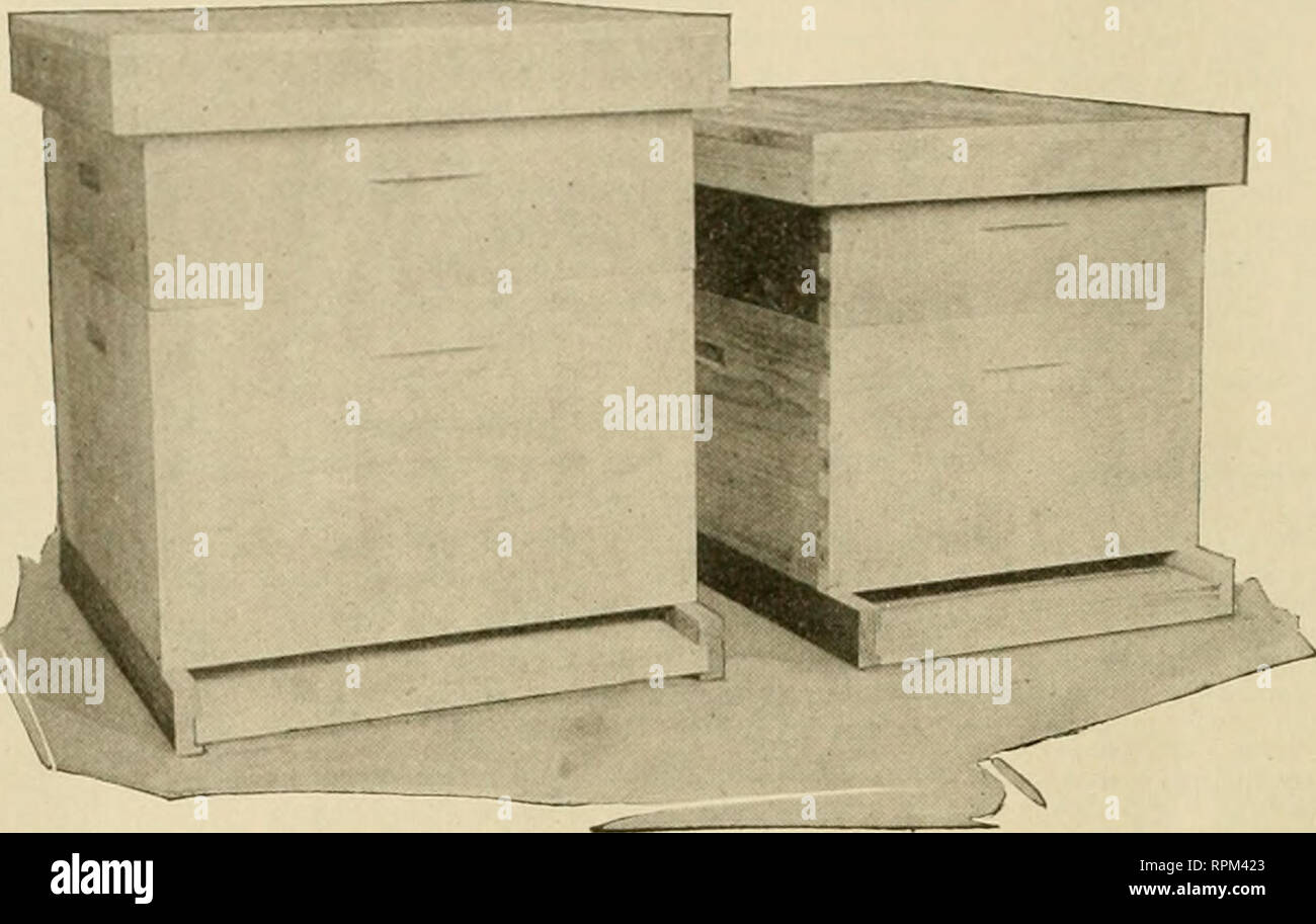 . American bee journal. Bee culture; Bees. 172 AMERICAN BEE JOURNAL May ...