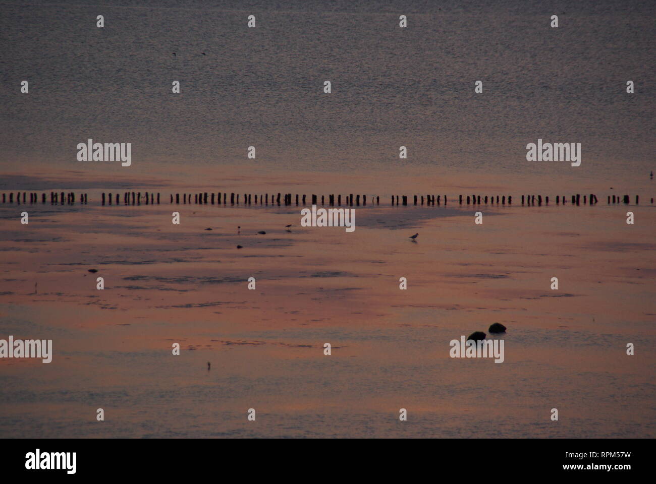 Tidal flat in an evening setting Stock Photo - Alamy