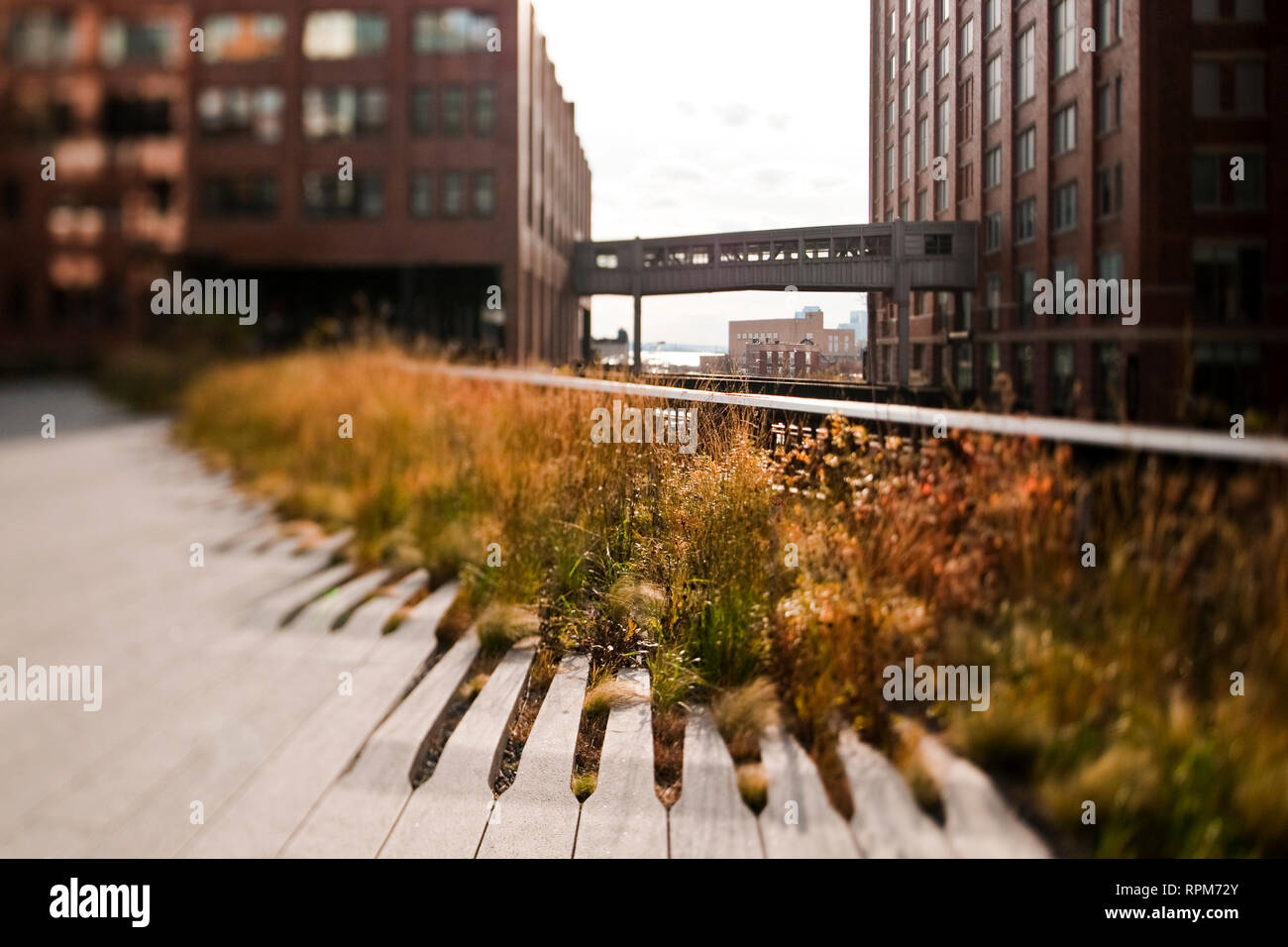 The High Line Park Stock Photo - Alamy