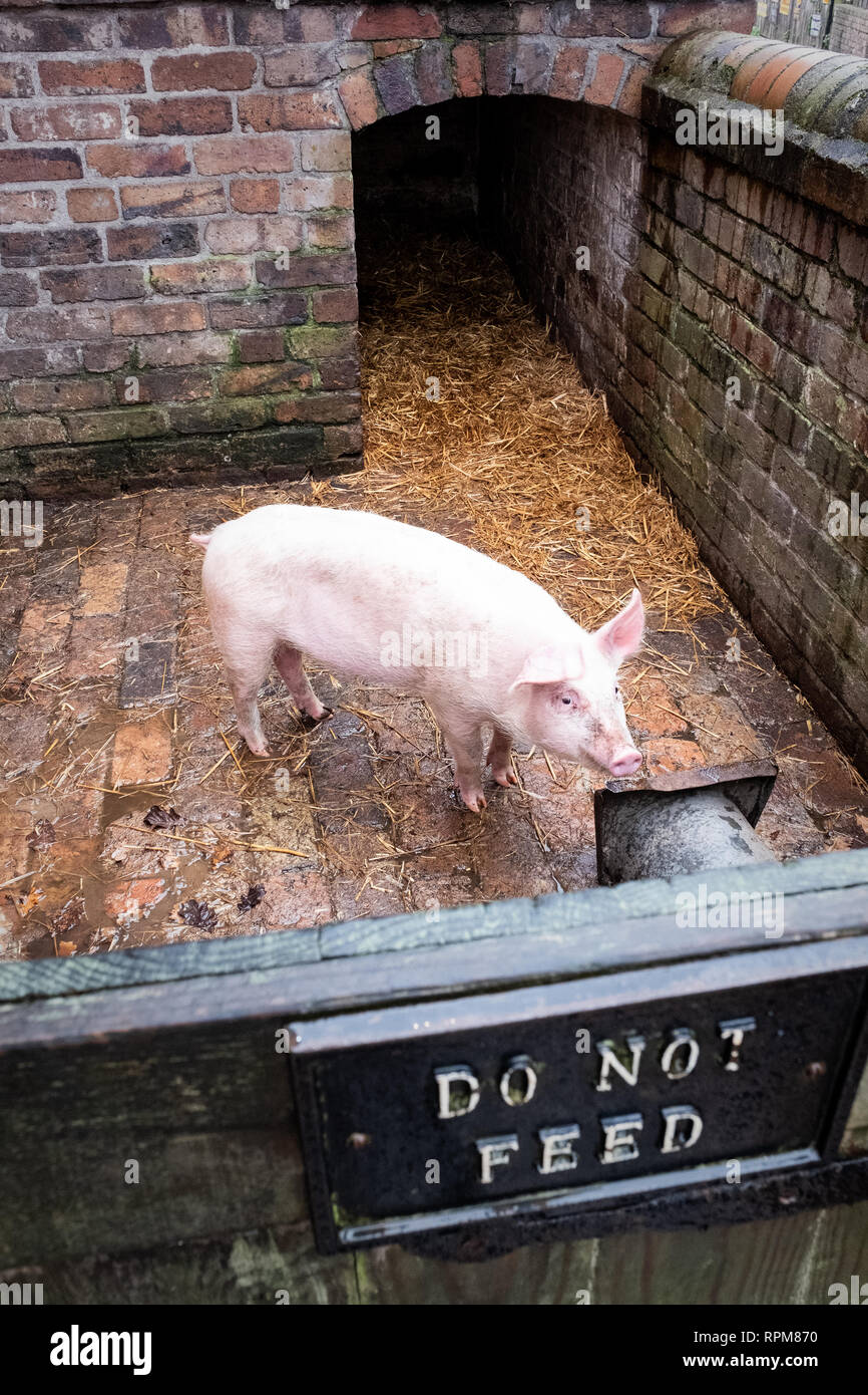 Blists Hill Museum High Resolution Stock Photography and Images - Alamy