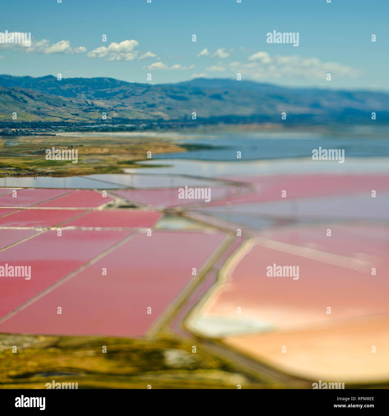 Aerial View of Pink Farm Fields Stock Photo - Alamy