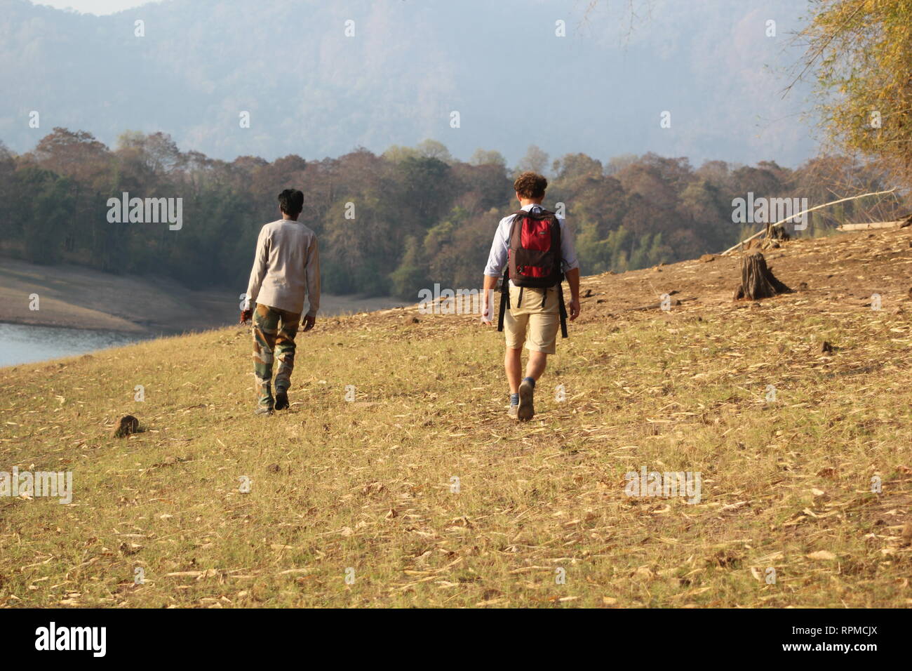 Kerala India parambikulam tiger reserve Stock Photo - Alamy