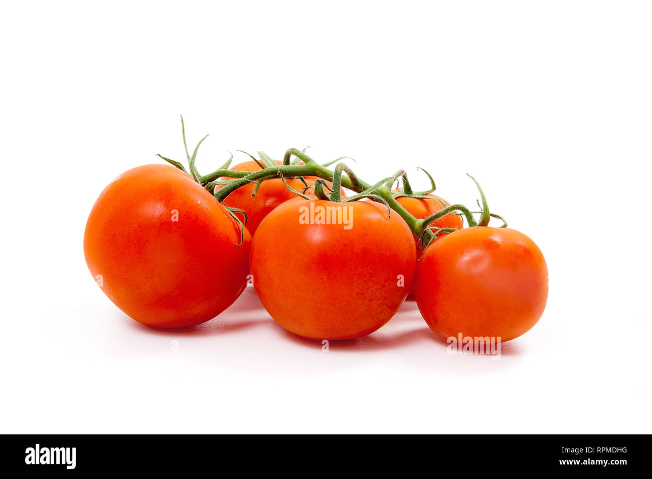 Close up view of bunch of the fresh red tomatoes from the organic farm ...