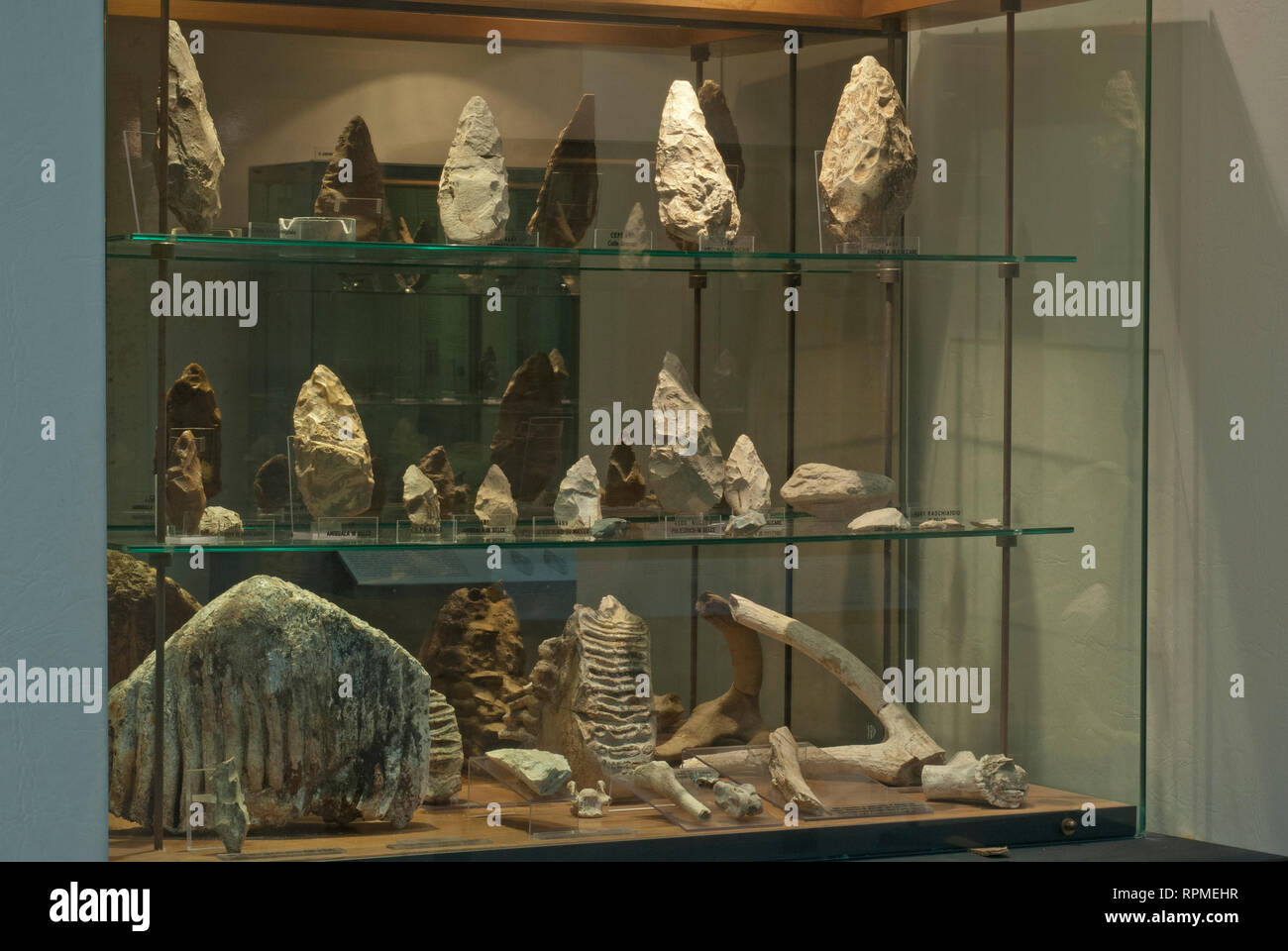 Prehistoric tools and remains of fossil animals, Prehistoric Museum of ...
