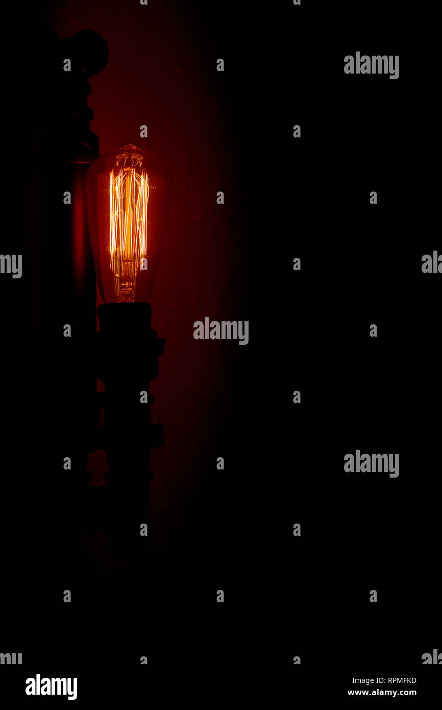 Vertical layout of an Edison style lamp fitting with glowing filaments ...
