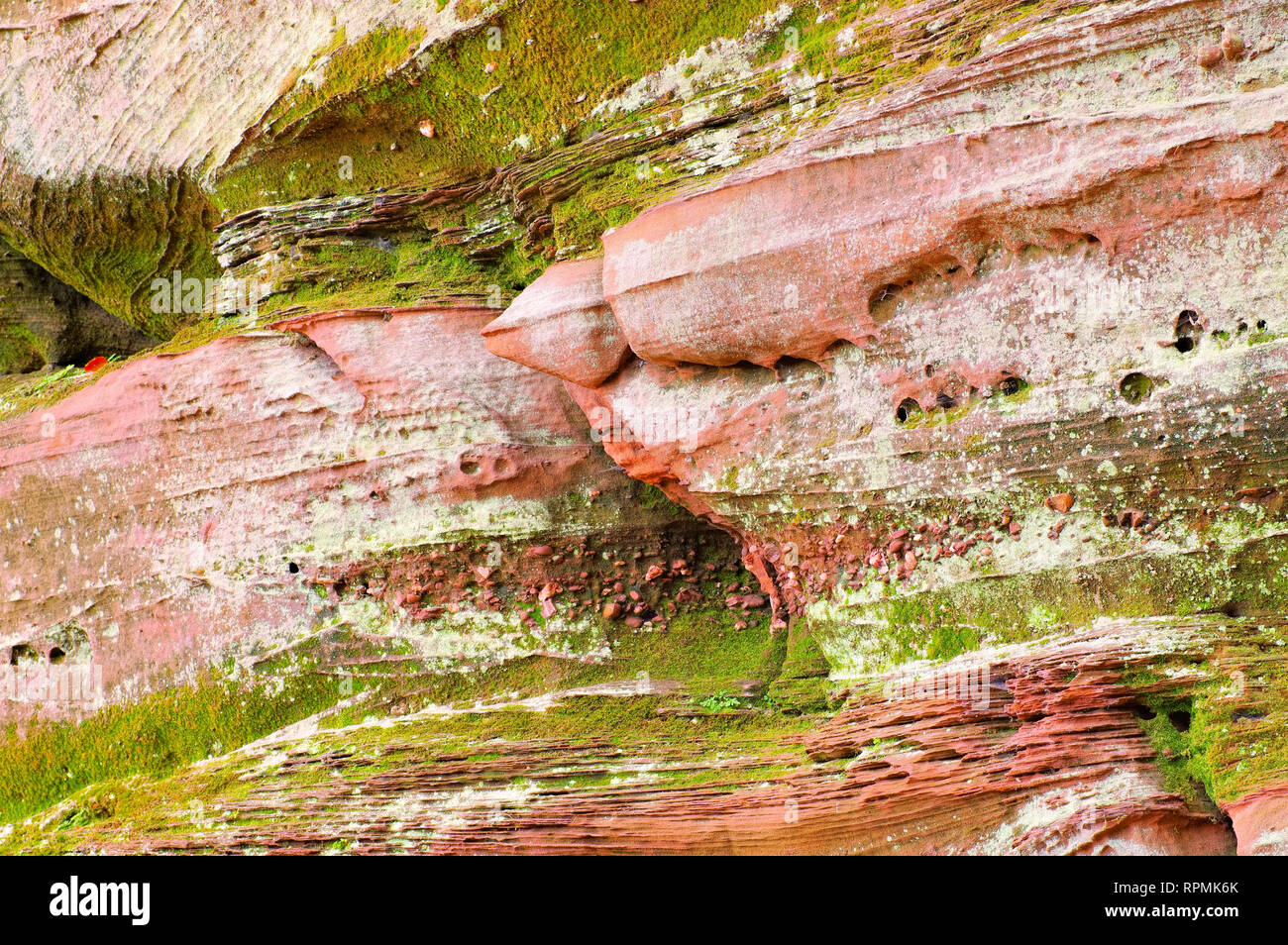 Altschlossfelsen rock in Dahn Rockland in autumn, Germany Stock Photo ...