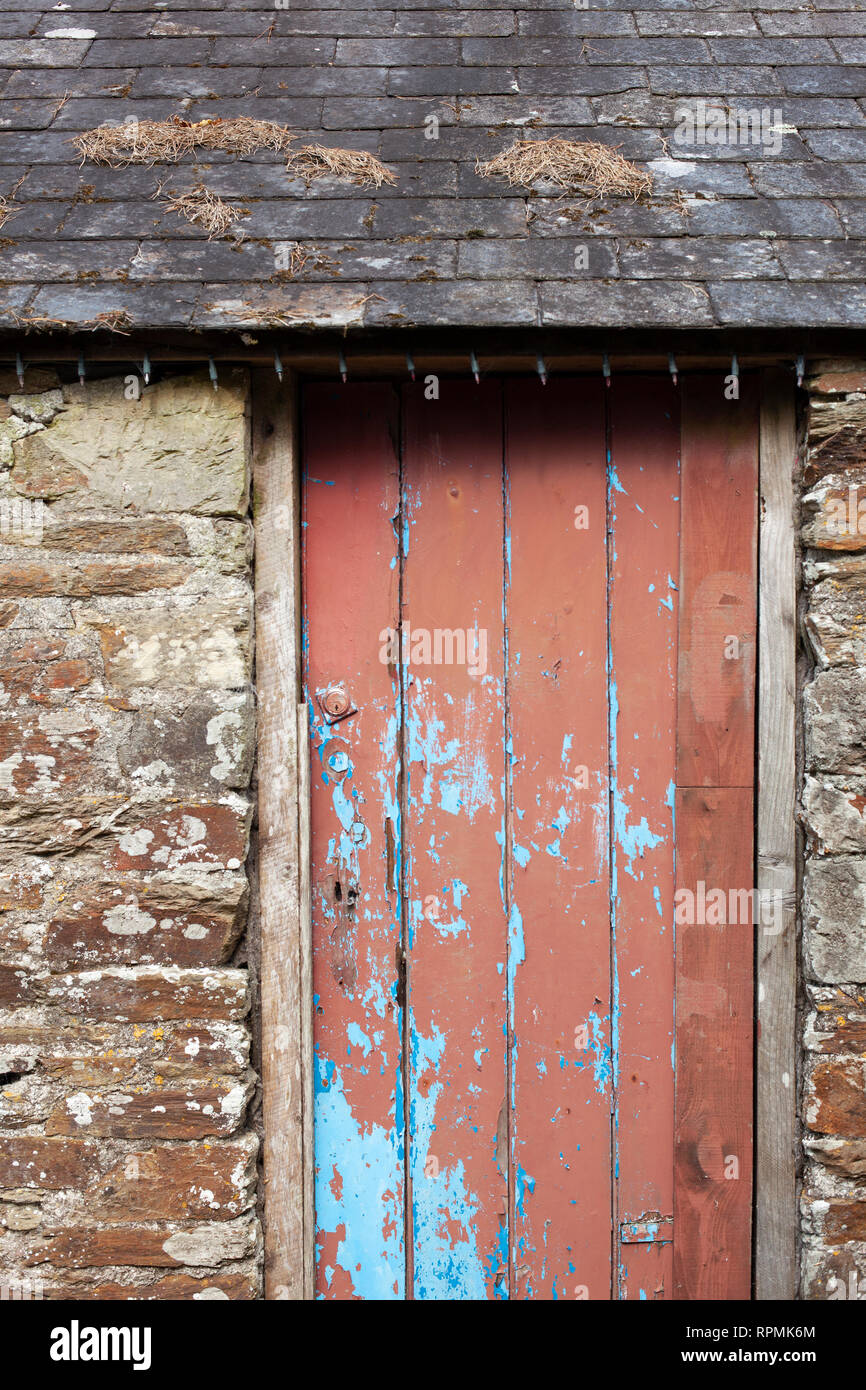 Red and distressed wooden door on an old stone barn with slate tile ...