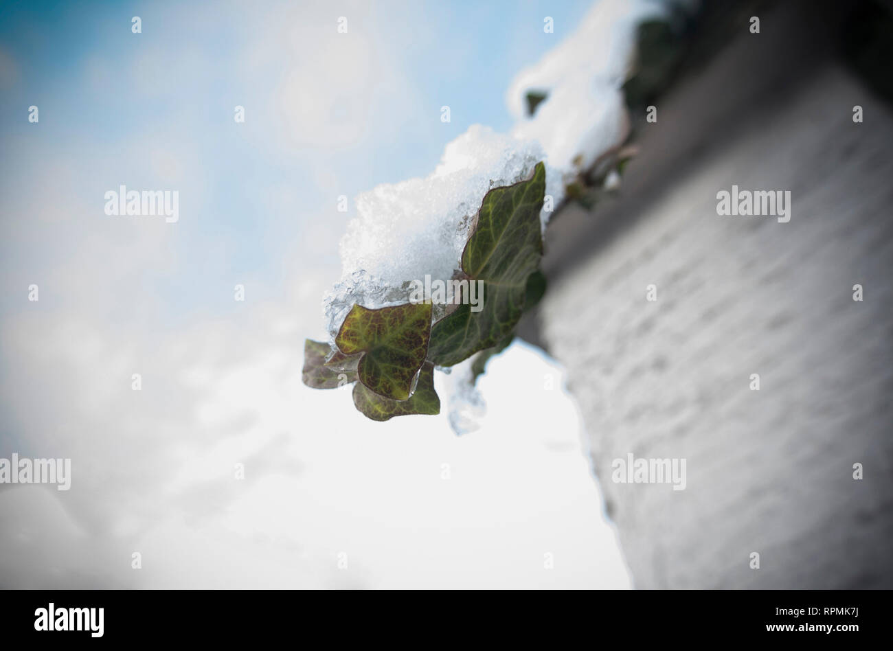 A corner of a roof in winter with blue sky in the background Stock ...