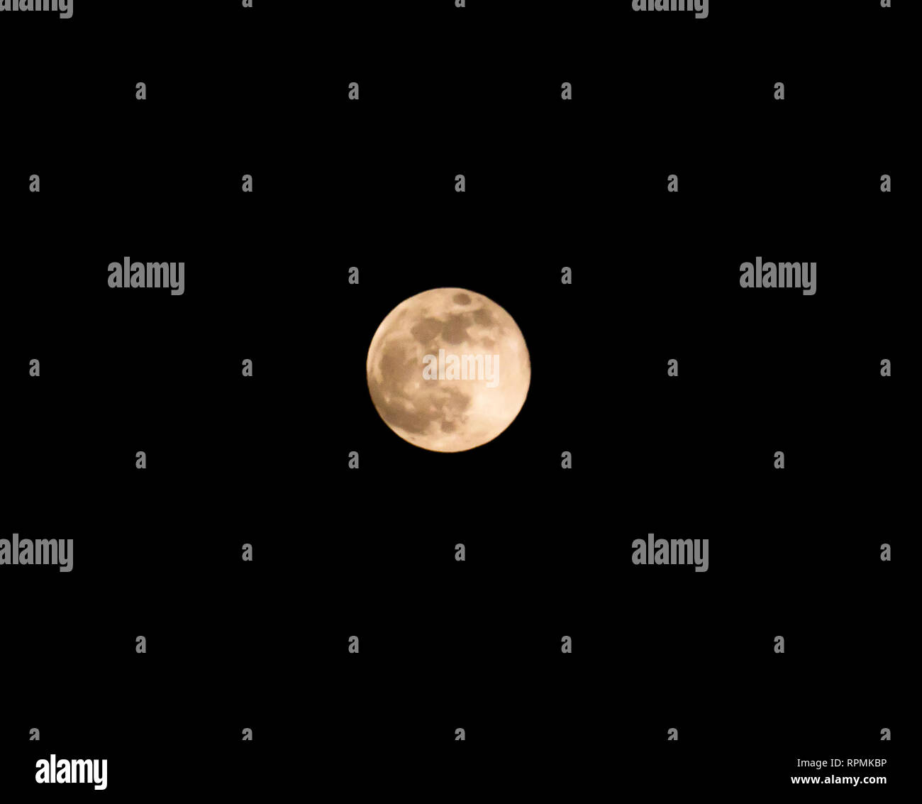 Full harvest moon back silhouette hi-res stock photography and images ...