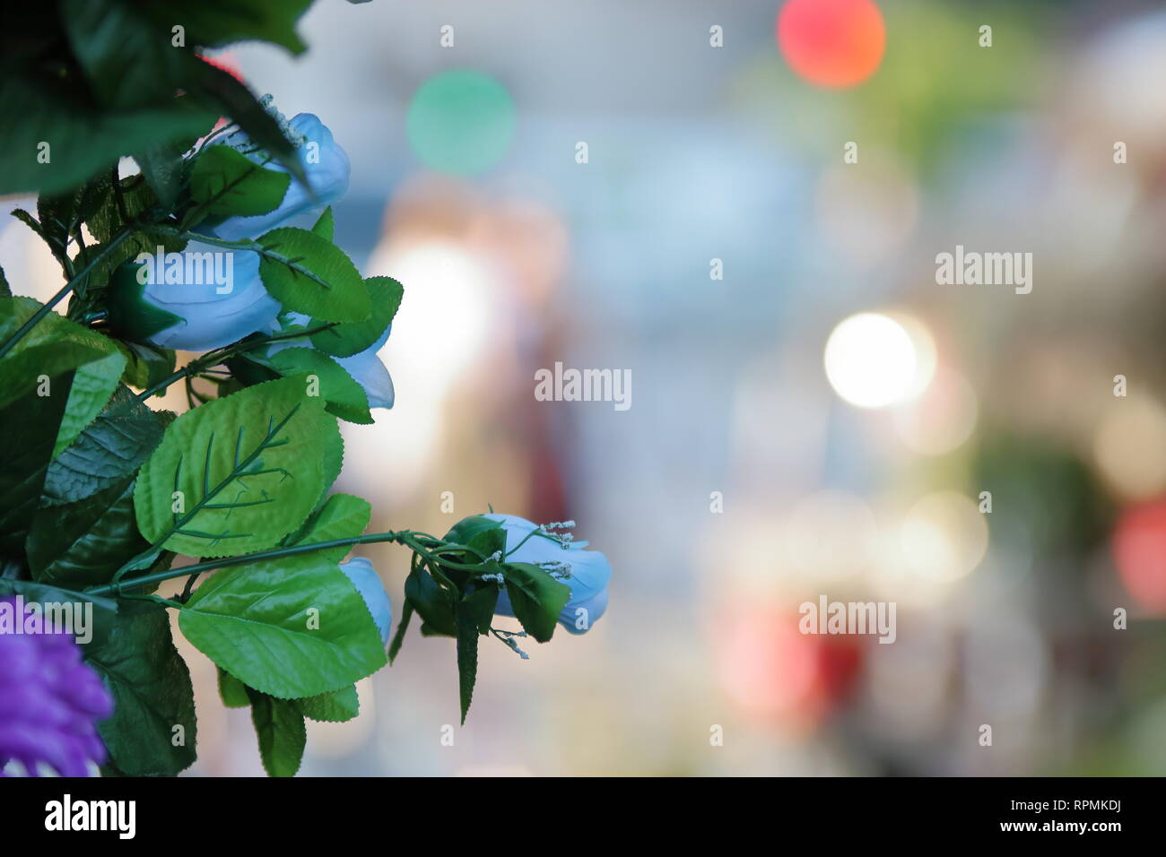 Nice flowers hi-res stock photography and images - Alamy