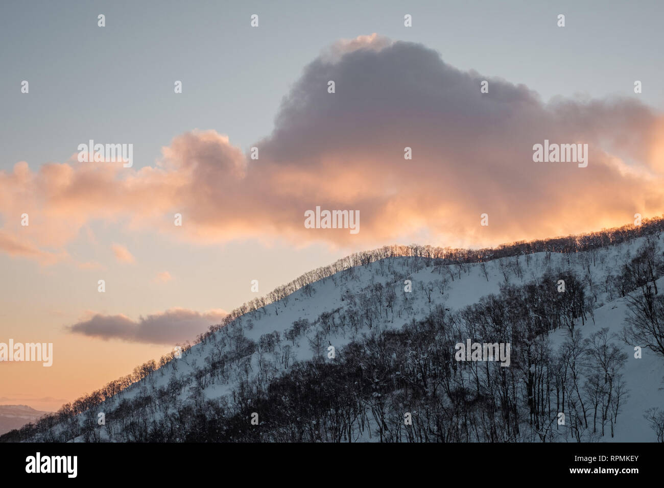 Snowboarding niseko japan hi-res stock photography and images - Alamy