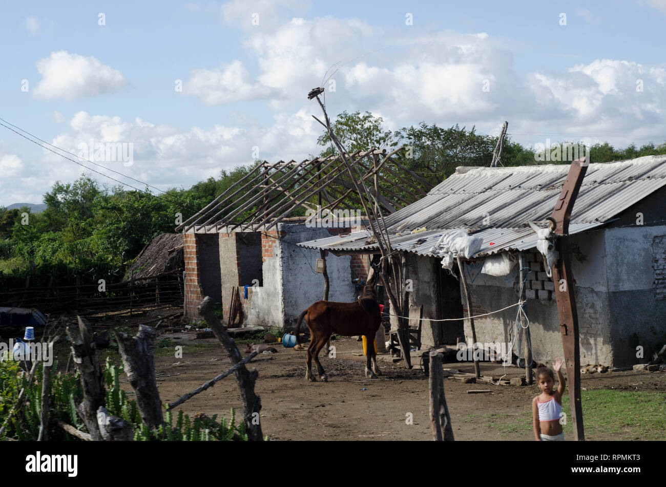 Huts in cuba Stock Photo - Alamy