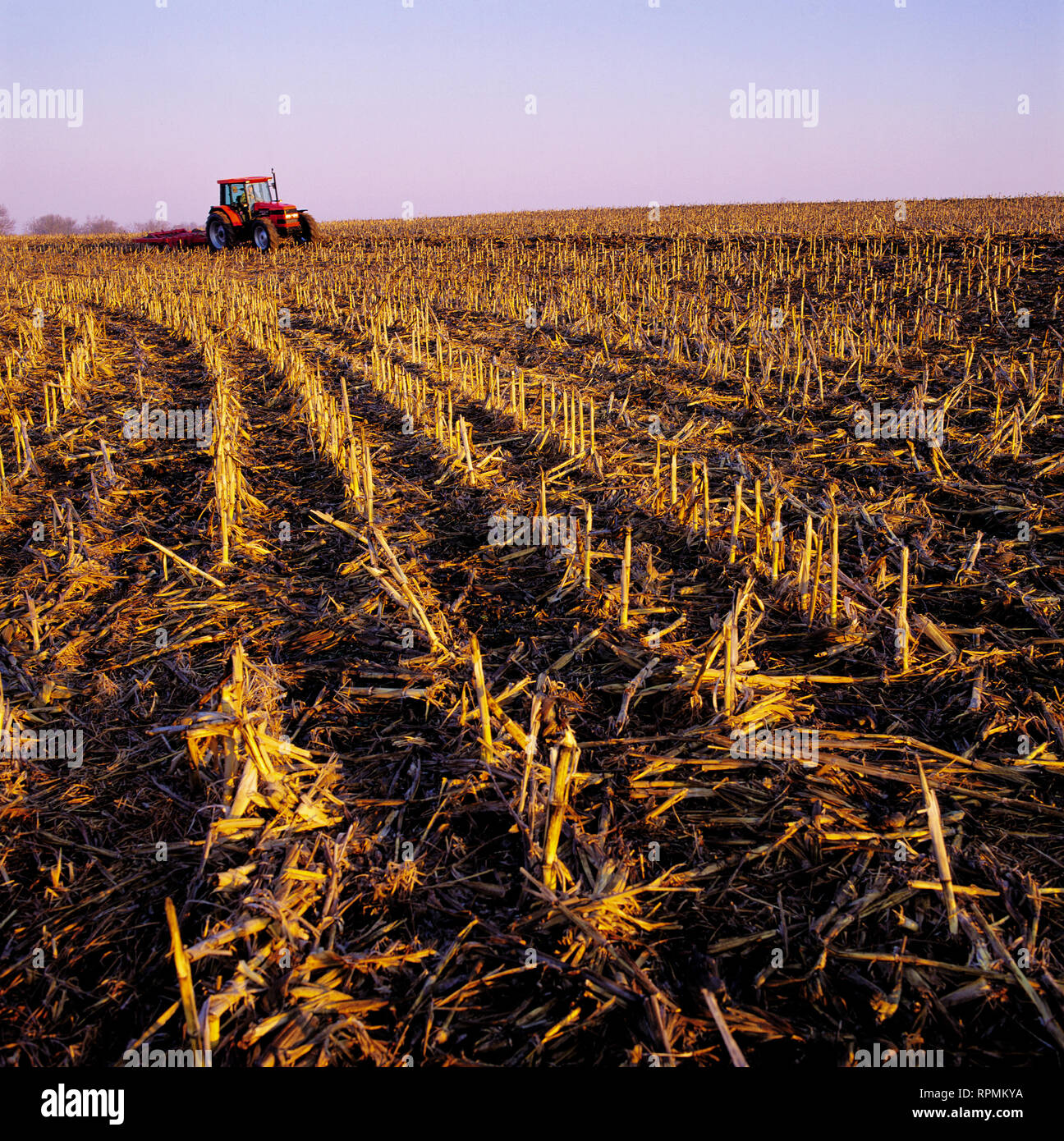 Farm equipment working in a farm field of corn stalk stubble Stock ...