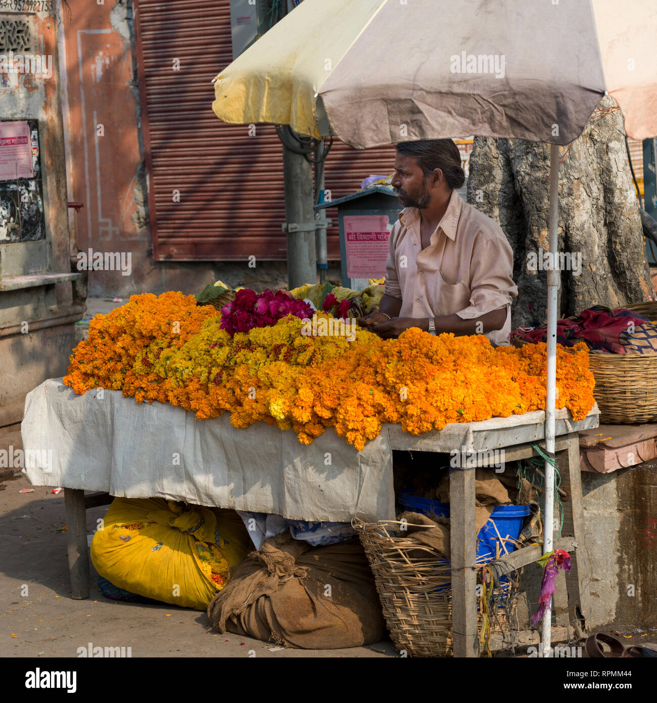 Man selling garlands near temple, Jaipur, Rajasthan, India Stock Photo ...