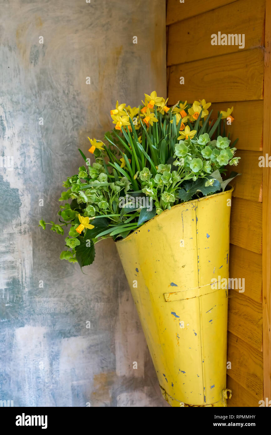 Yellow flower tub on a wall with beautiful spring flowers Stock Photo ...