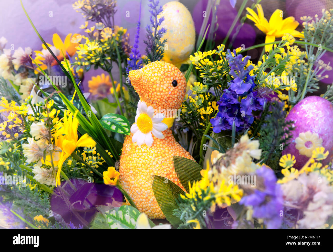 Easter duck hi-res stock photography and images - Alamy