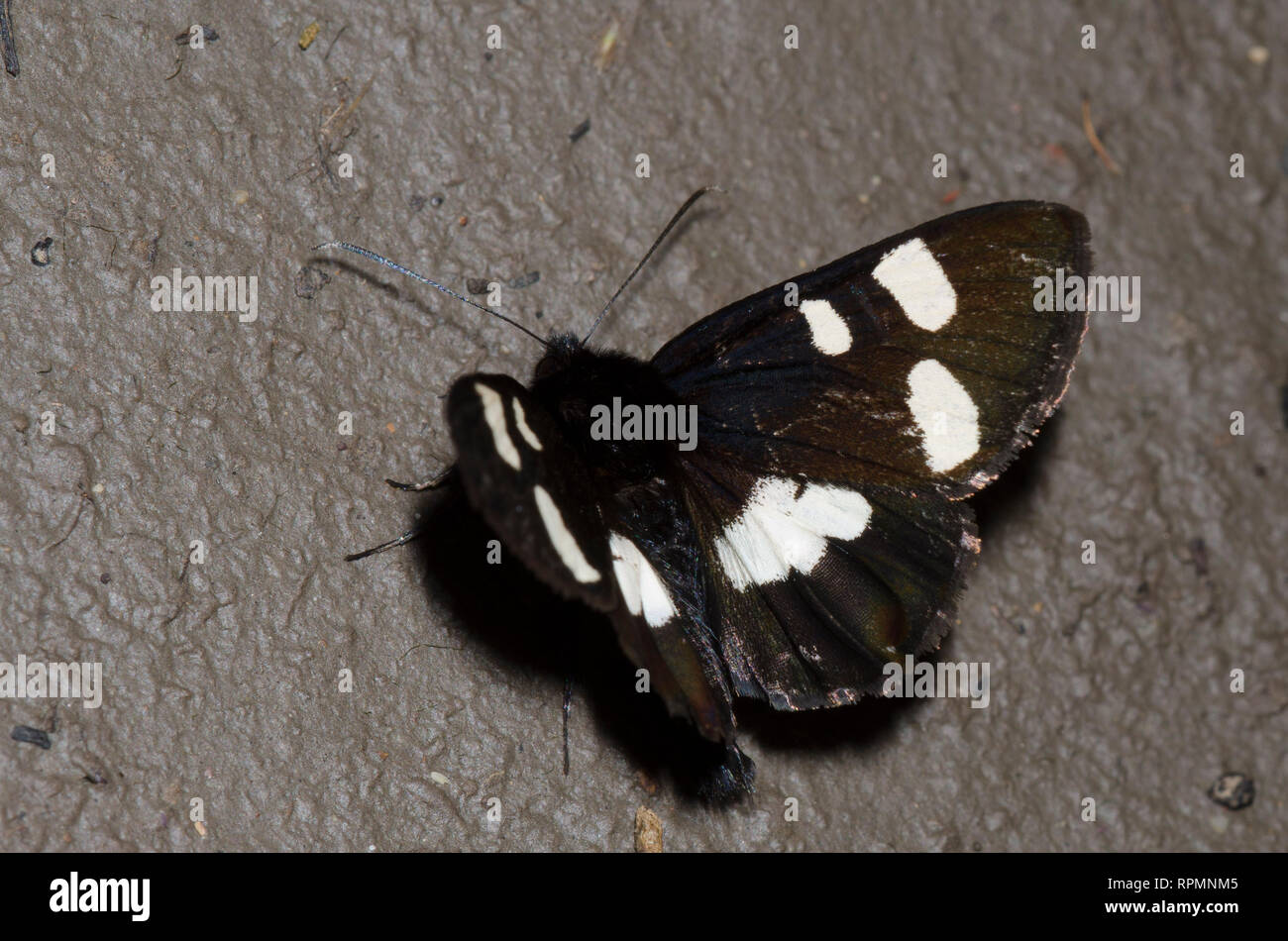 Female mud hi-res stock photography and images - Alamy