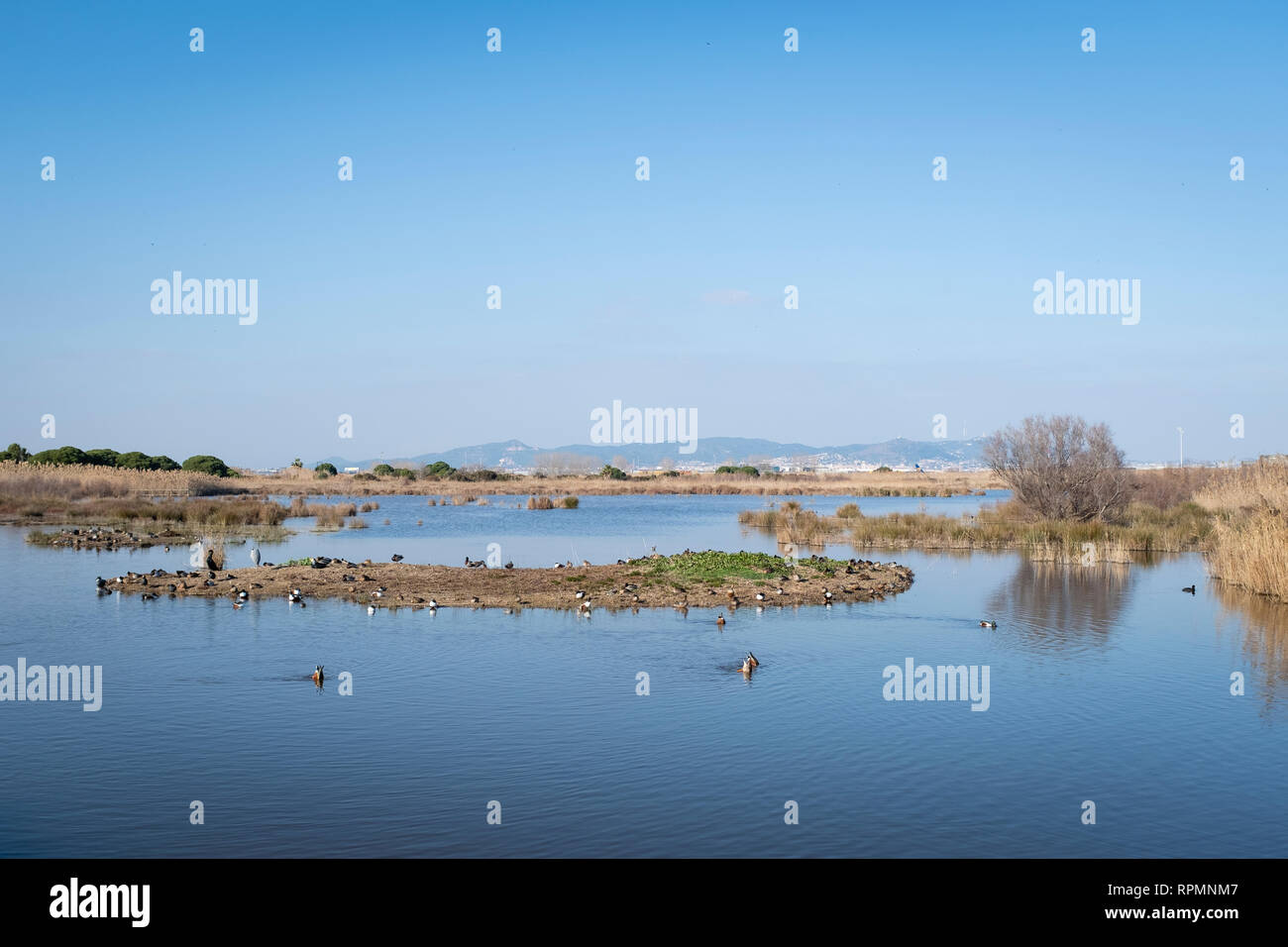 Remolar hi-res stock photography and images - Alamy