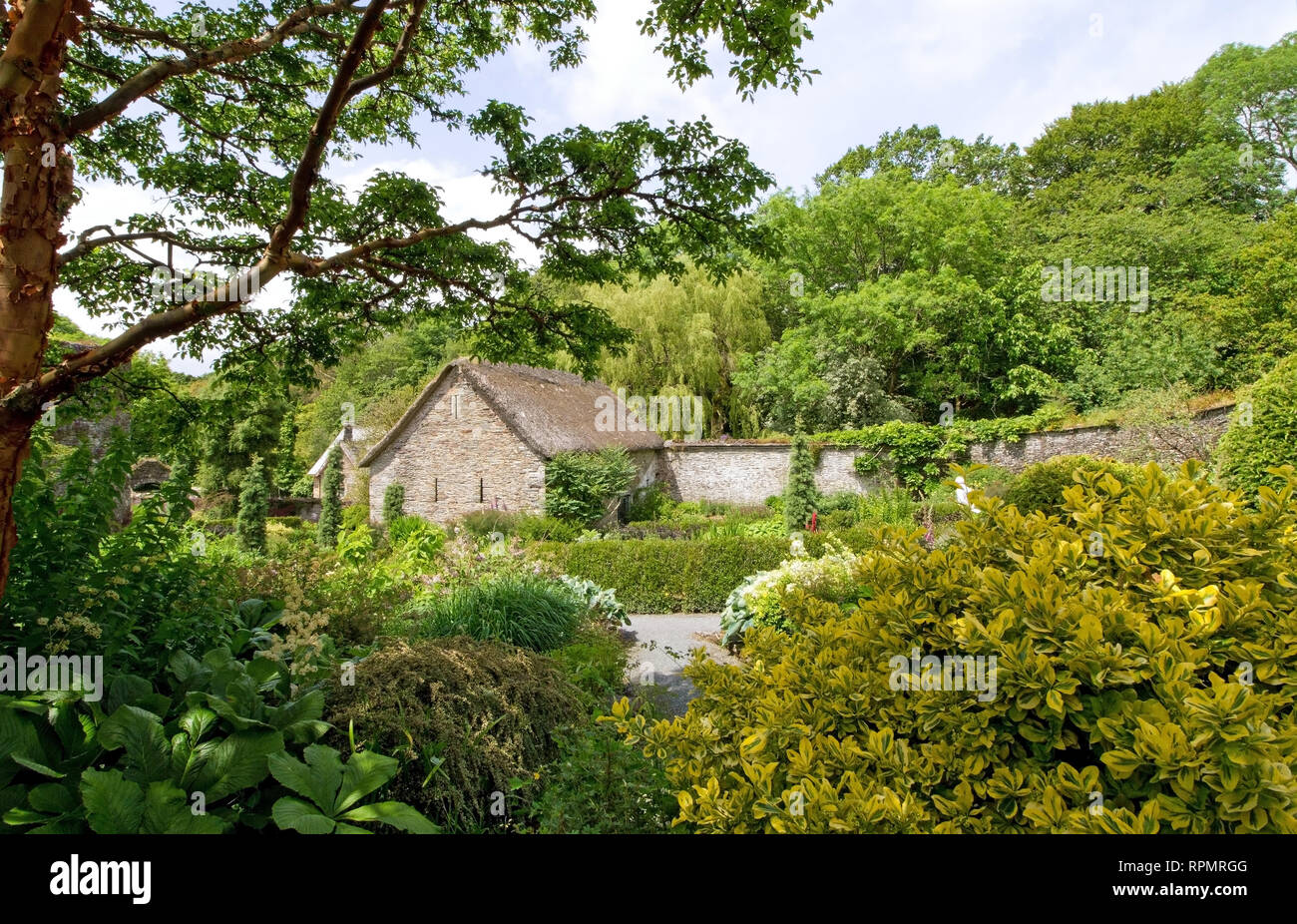 Fortescue garden hi-res stock photography and images - Alamy