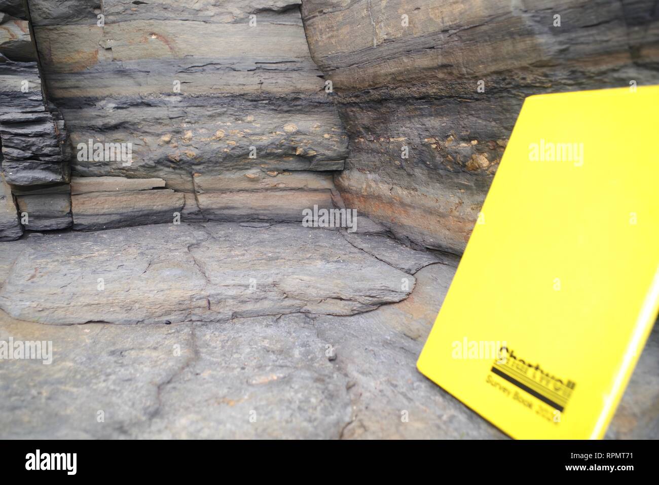 Fossils mapping hi-res stock photography and images - Alamy