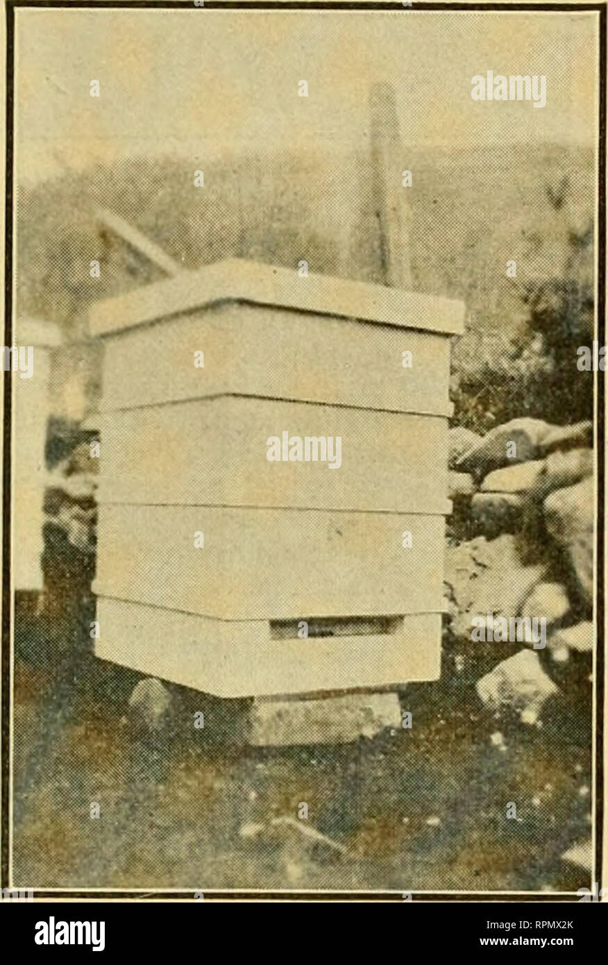 Triangular flat bodies hi-res stock photography and images - Alamy