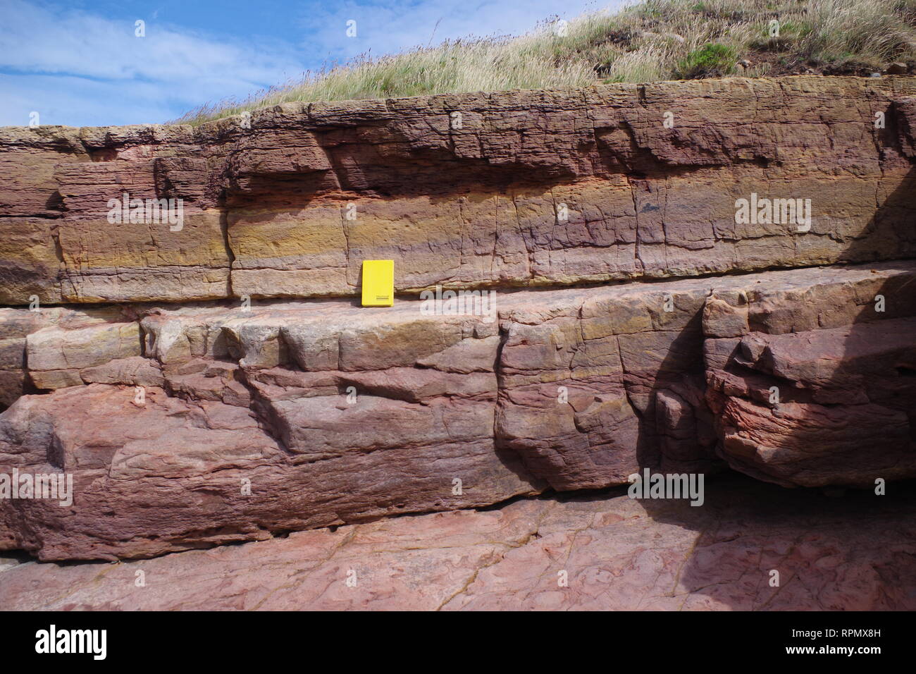 Carboniferous Sandstone Geology Exposed along the Fife Coast near Crail ...