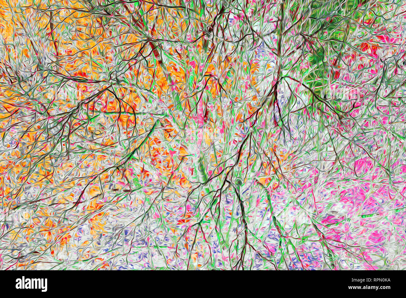 Abstract from tree branches Stock Photo - Alamy