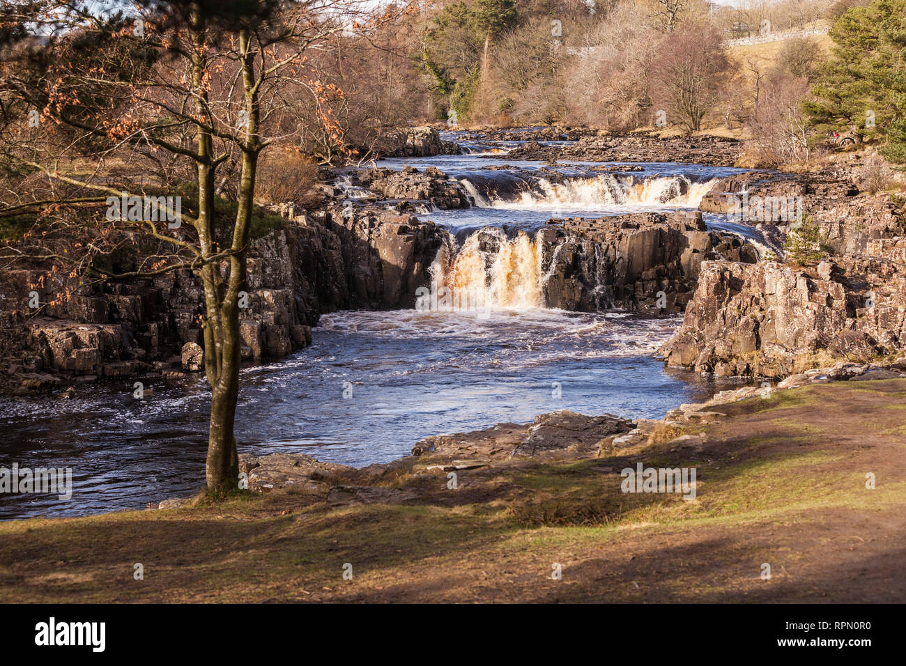 The waterfalls at Low Force,Teesdale,England,UK Stock Photo - Alamy