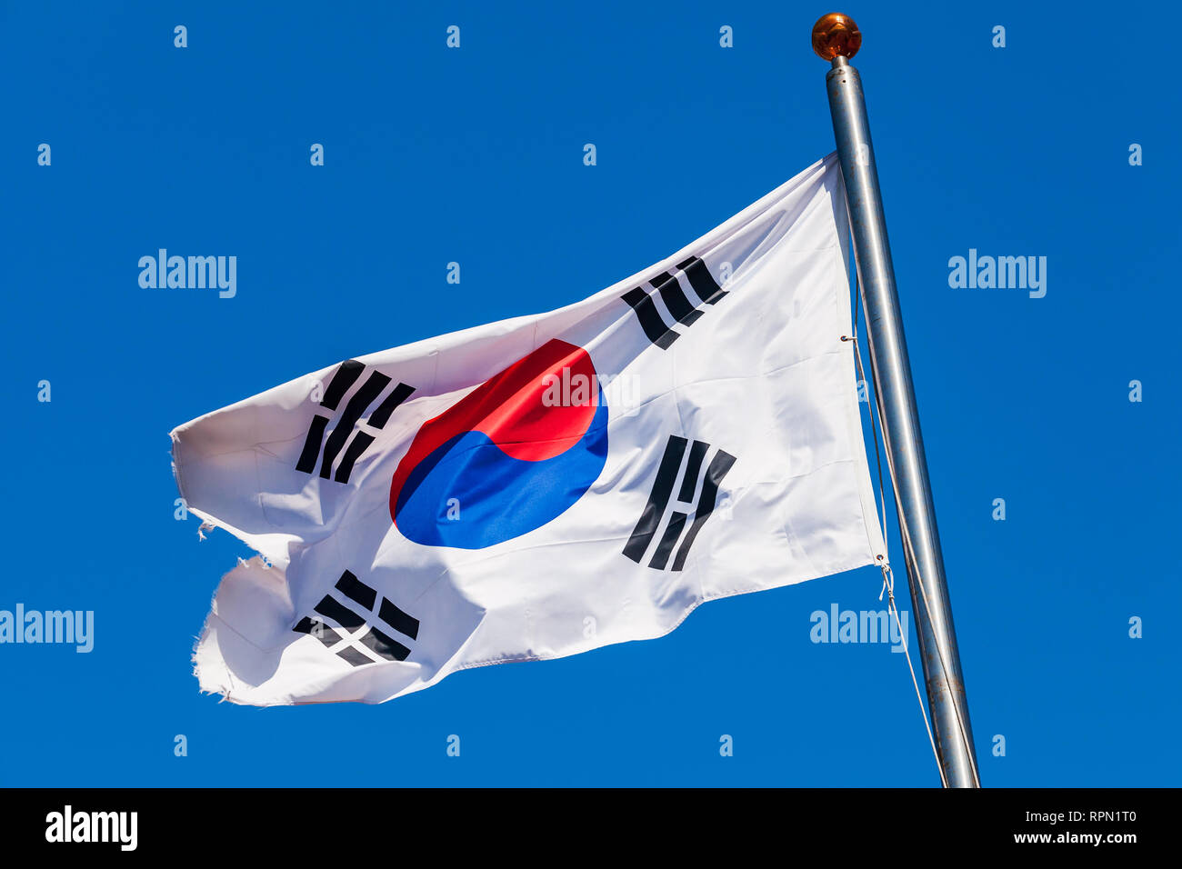 South Korea flag, also known as the Taegukgi waving on a flagpole Stock ...