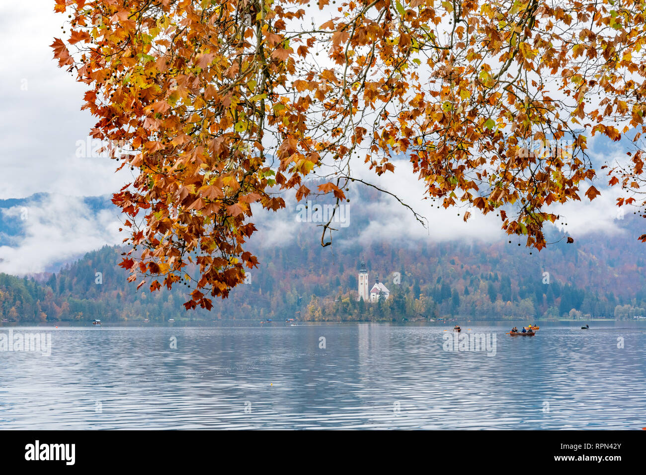 Beautiful autumn landscape around Lake Bled with Pilgrimage Church of the Assumption of Maria at ...