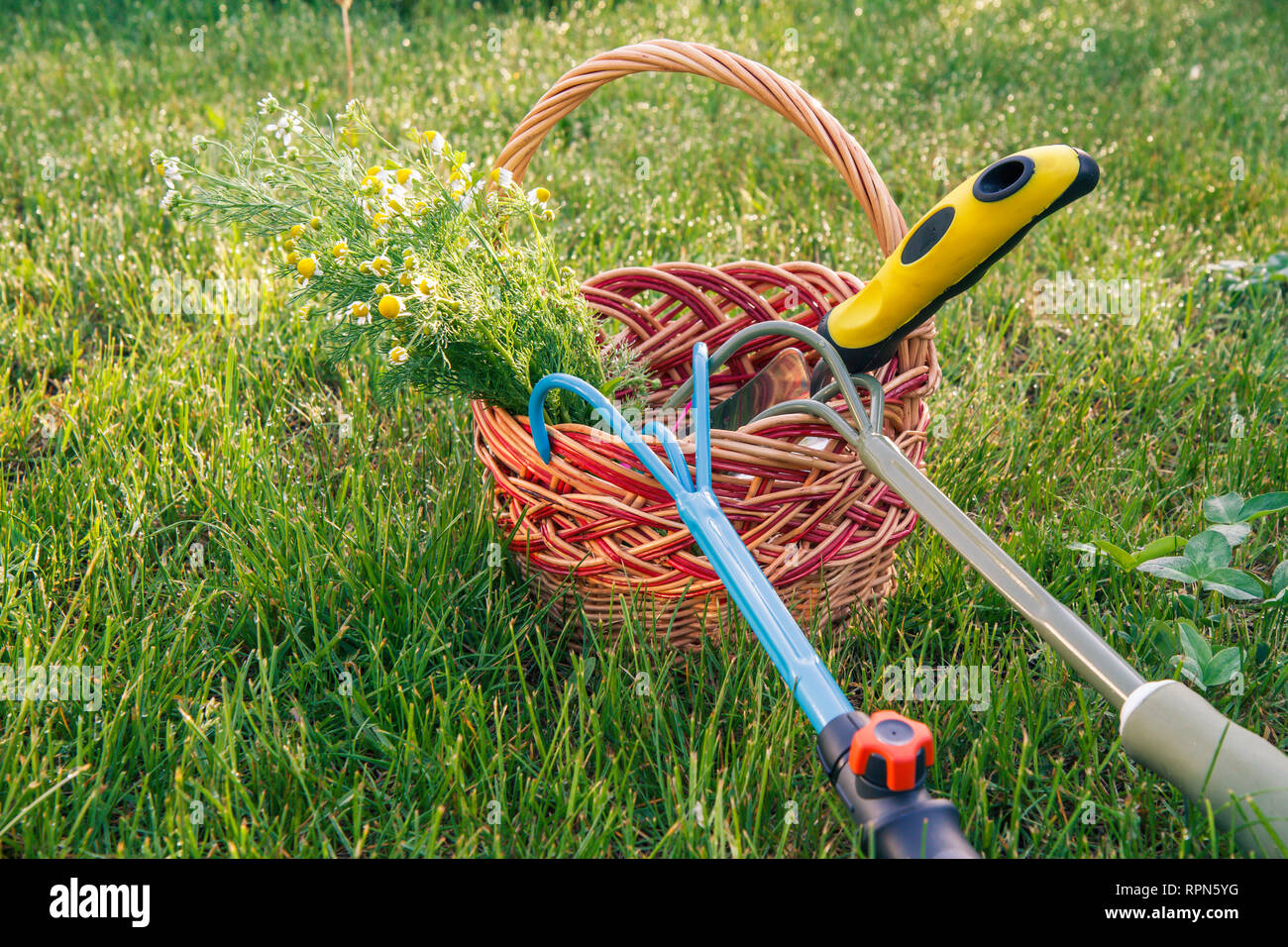 Garden rakes hi-res stock photography and images - Alamy
