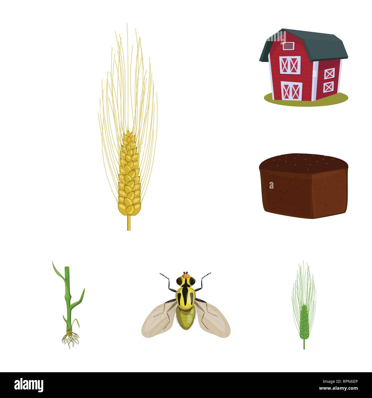 barley,granary,bread,stem,fly,building,root,insect,winter,industry ...