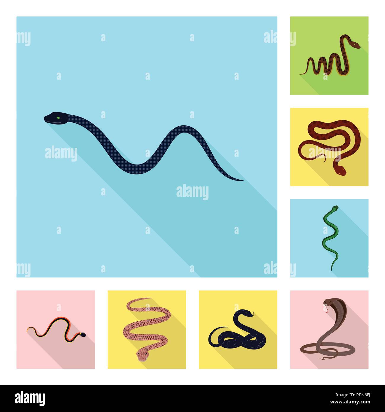 Vector design of skin and reptile sign. Collection of skin and danger ...