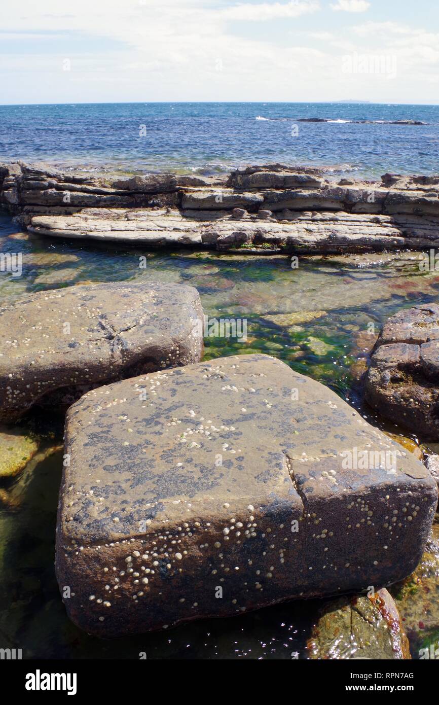 Square Boulder from Eroded Conjugate Joints in Carboniferous Sandstone ...