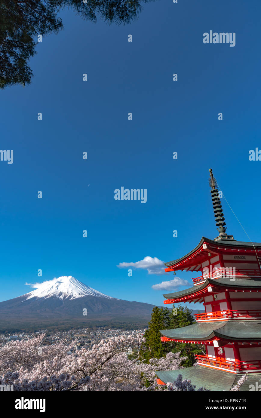 Mount Fuji viewed from behind Chureito Pagoda in full bloom cherry ...