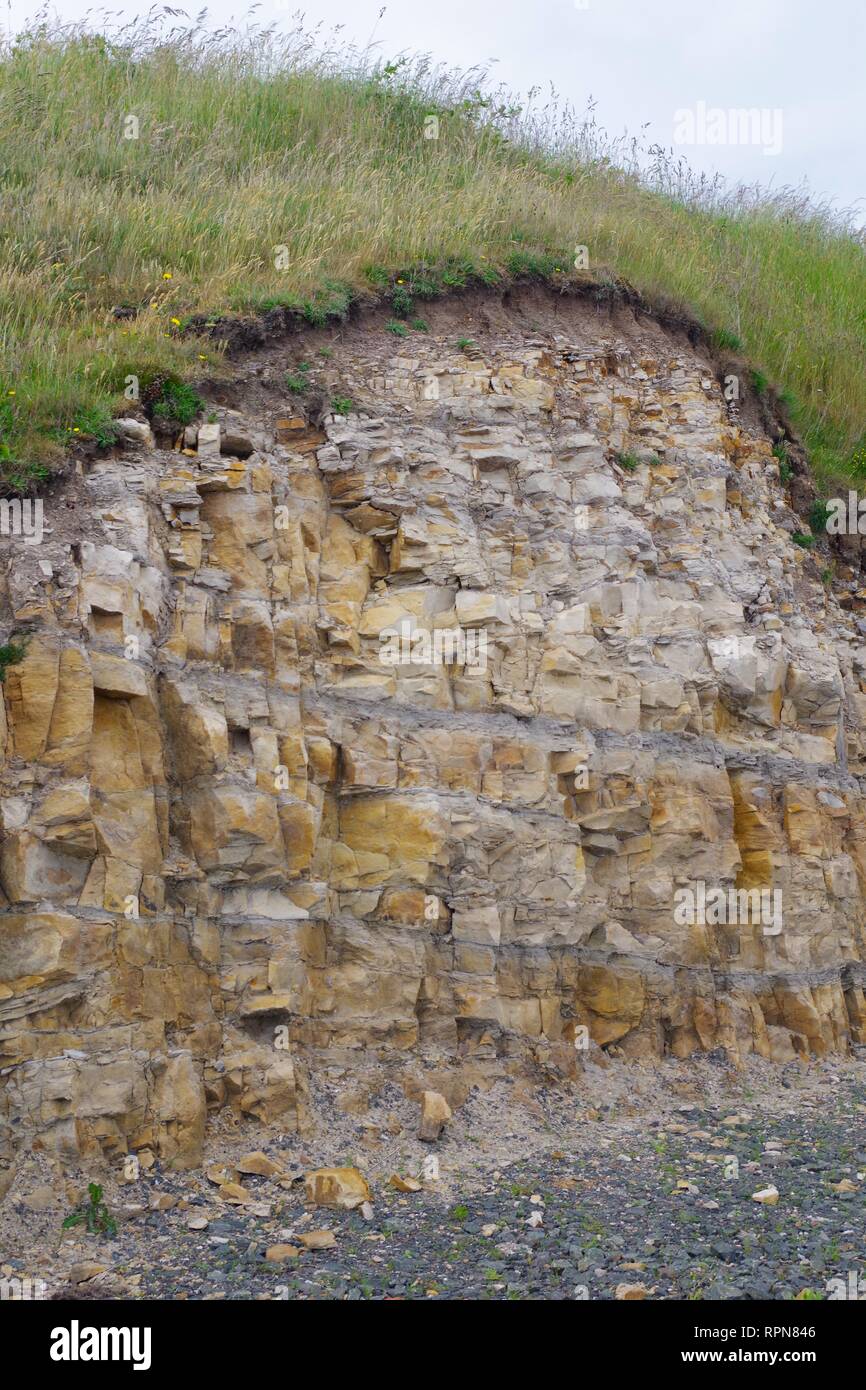 Calcitic sandstone hi-res stock photography and images - Alamy